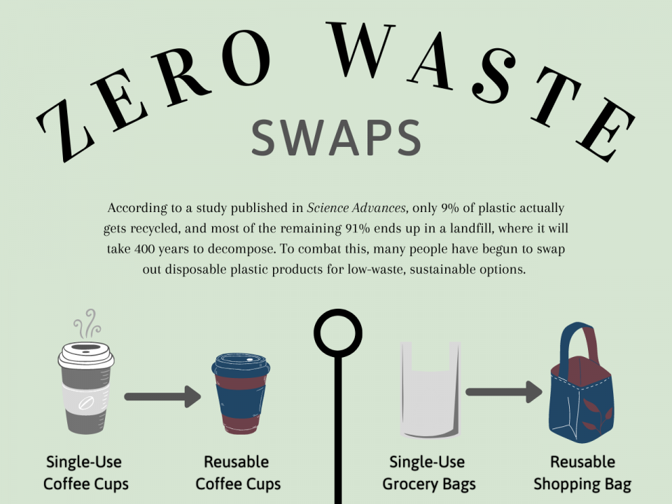INFOGRAPHIC: Zero waste swaps – TommieMedia