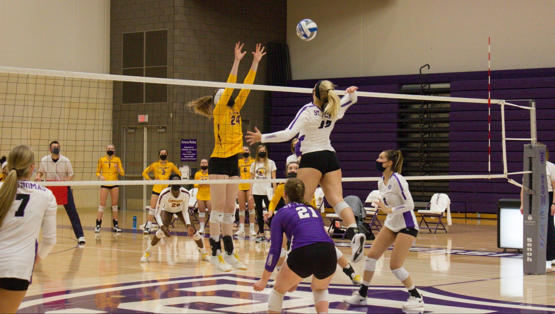 Volleyball – TommieMedia